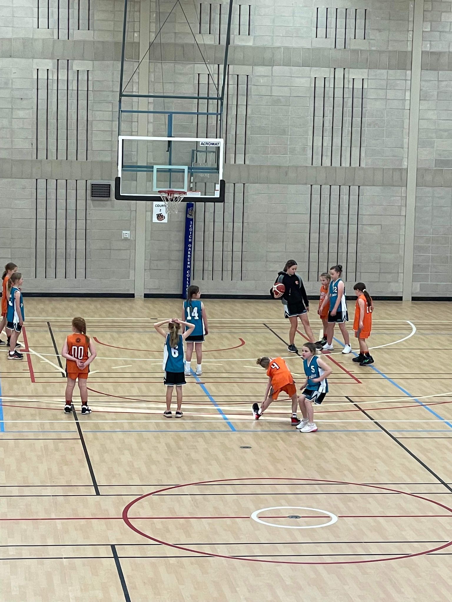 Juniors Home - Deloraine Basketball